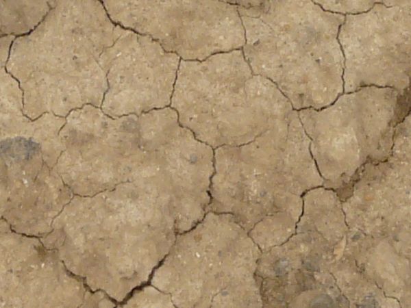 bumpy tan ground texture 0066 - Texturelib