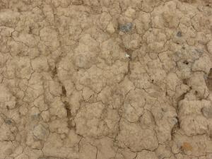 bare ground textures - Texturelib