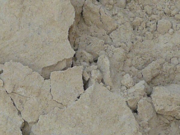 white ground texture 0067 - Texturelib