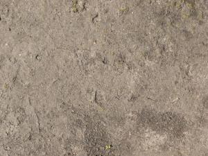 bare ground textures - Texturelib