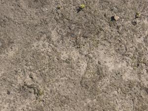 bare ground textures - Texturelib