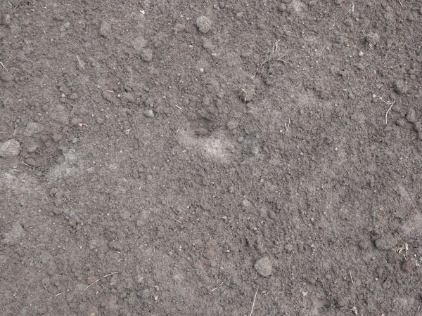 reddish-grey ground texture 0076 - Texturelib