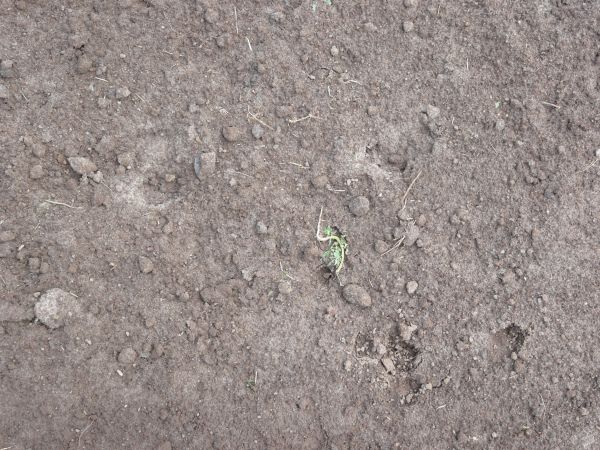 reddish-grey ground texture 0076 - Texturelib