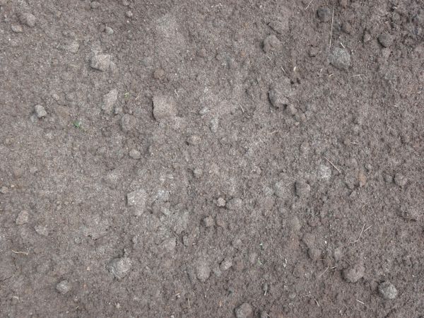 reddish-grey ground texture 0076 - Texturelib