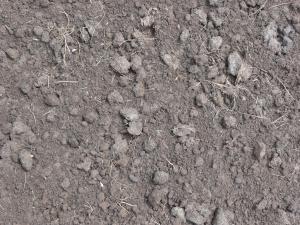 bare ground textures - Texturelib