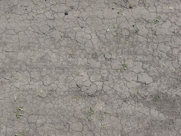 cracked ground texture 0079 - Texturelib