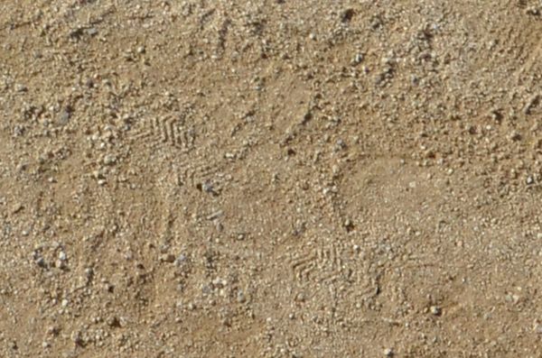 bare ground texture 0085 - Texturelib