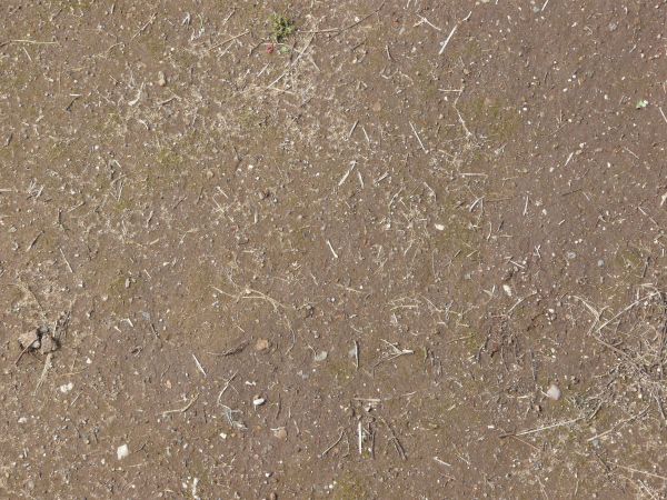 bare ground texture 0088 - Texturelib