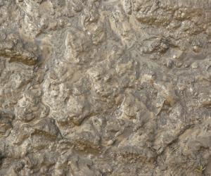 soil textures - Texturelib