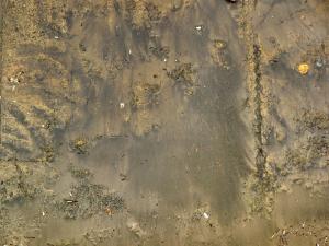 sand textures - Texturelib