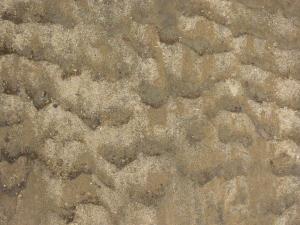 sand textures - Texturelib