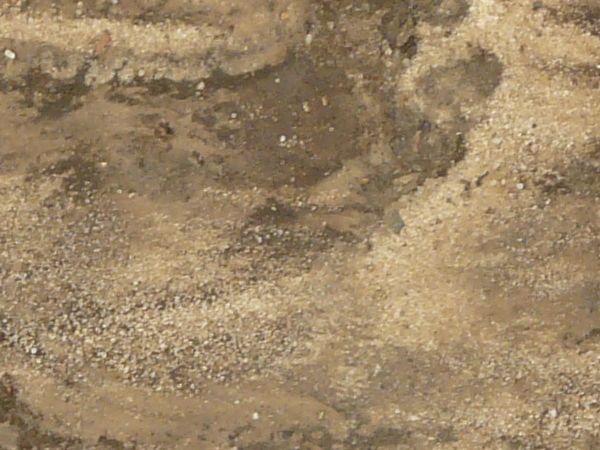 damp sandy soil texture 0021 - Texturelib