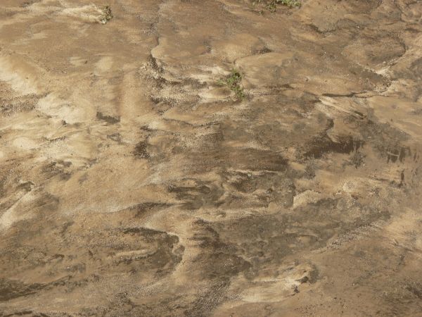 damp sandy soil texture 0021 - Texturelib