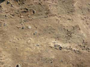 sand textures - Texturelib