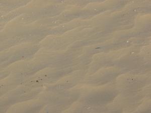 sand textures - Texturelib