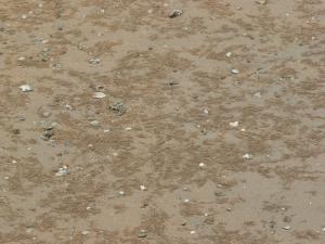 sand textures - Texturelib