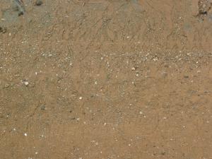 sand textures - Texturelib