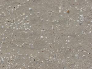 sand textures - Texturelib