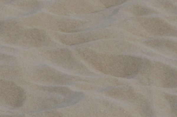 sand texture 0070 - Texturelib