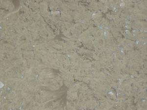 sand textures - Texturelib