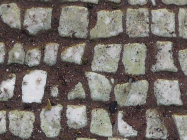 bare tile texture 0070 - Texturelib