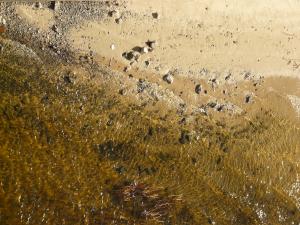 water edge textures - Texturelib