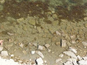 water edge textures - Texturelib