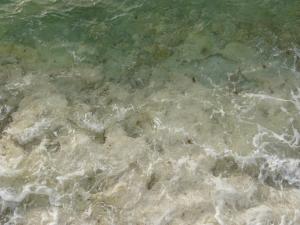 water edge textures - Texturelib