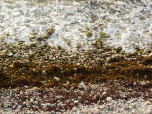 water edge textures - Texturelib