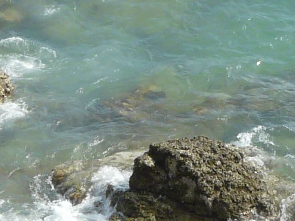 water edge texture 0037 - Texturelib