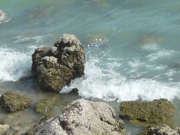 water edge texture 0037 - Texturelib