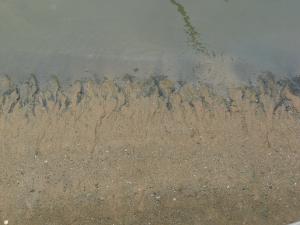 water edge textures - Texturelib