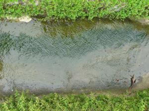 water edge textures - Texturelib