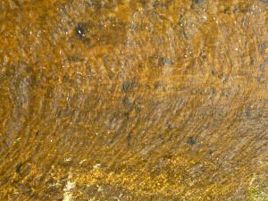 water textures - Texturelib