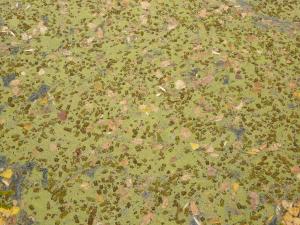 water textures - Texturelib