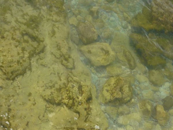 murky water texture 0050 - Texturelib