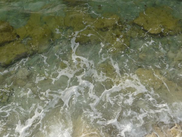 murky water texture 0050 - Texturelib