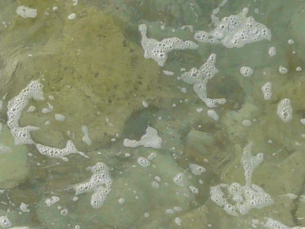 murky water texture 0050 - Texturelib