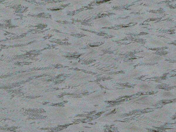 consistent water texture 0077 - Texturelib