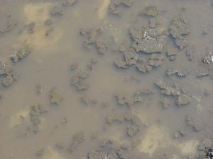 water textures - Texturelib