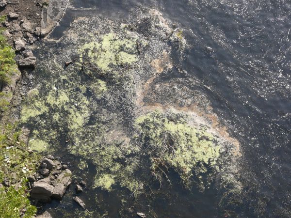 water texture 0086 - Texturelib