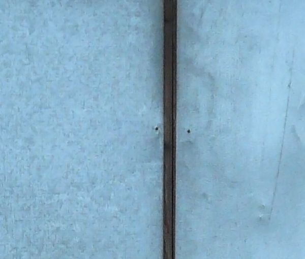 closed red window texture 0003 - Texturelib