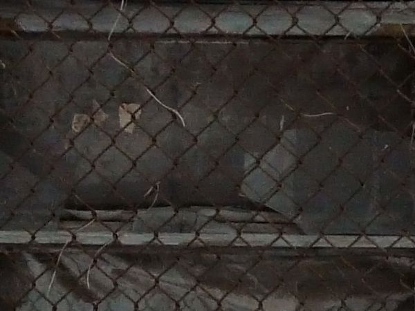 spray painted window texture 0073 - Texturelib