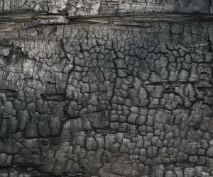 wood textures - Texturelib