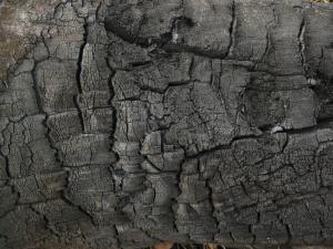 burnt wood textures - Texturelib