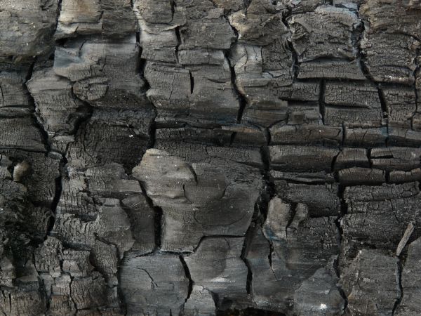 burnt wood texture 0001 - Texturelib