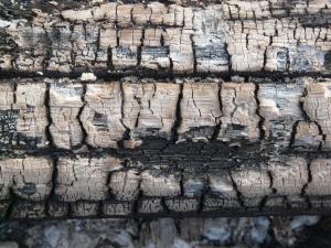 burnt wood textures - Texturelib