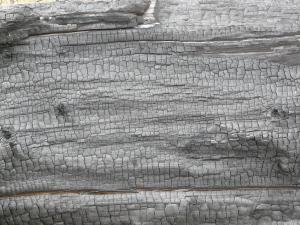 burnt wood textures - Texturelib