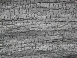 burnt wood textures - Texturelib