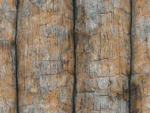 worn wooden plank texture 0070 - Texturelib